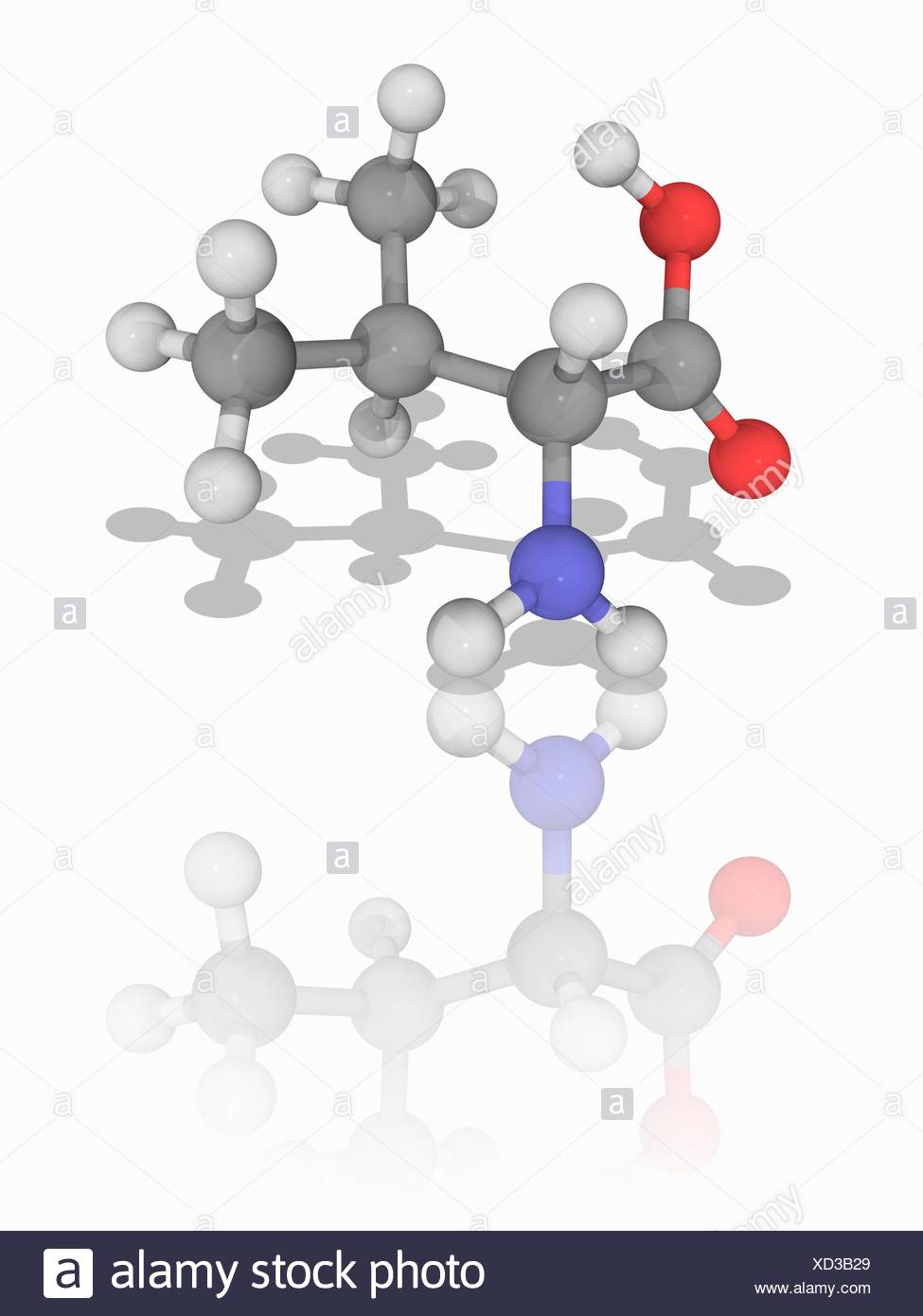 Valine High Resolution Stock Photography and Images - Alamy