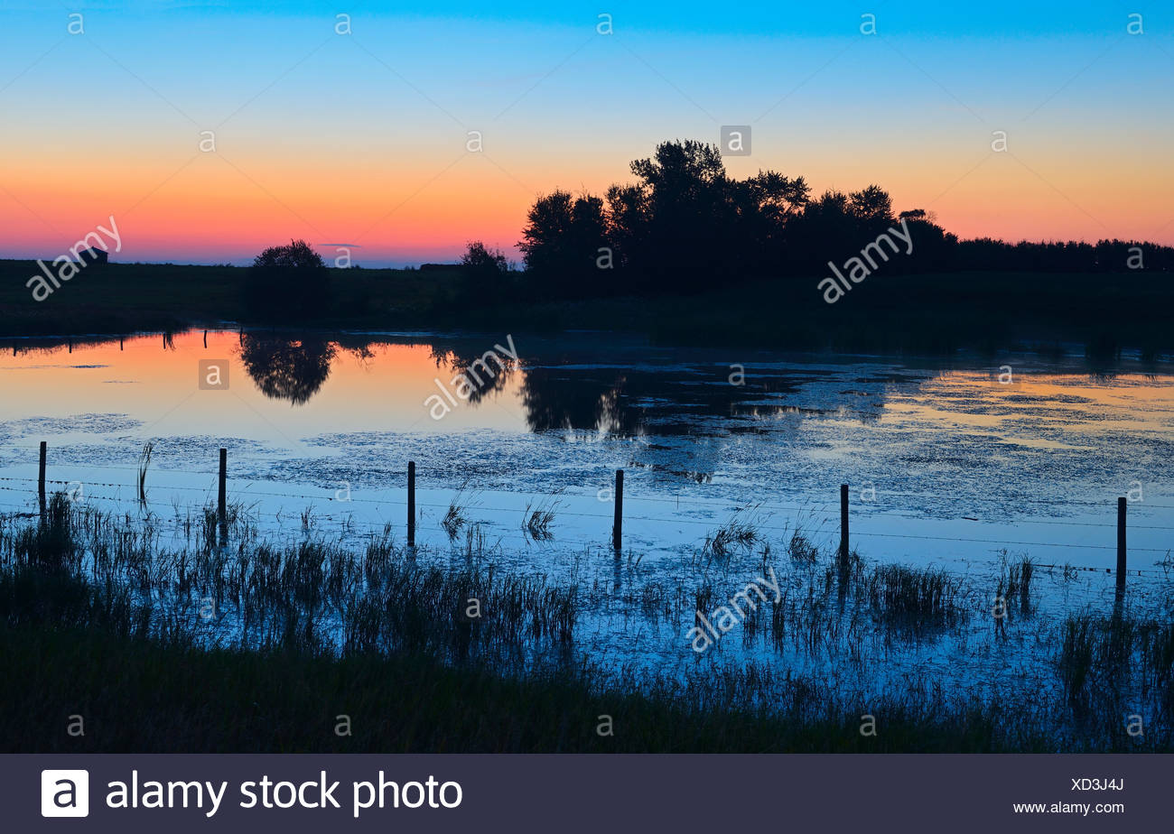 Lamont Stock Photos & Lamont Stock Images - Alamy