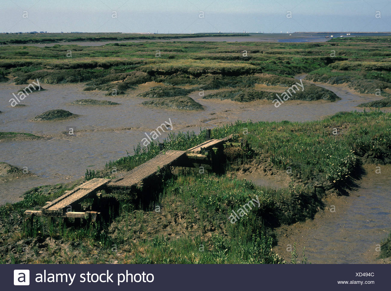 Tollesbury Salt Marsh High Resolution Stock Photography and Images - Alamy