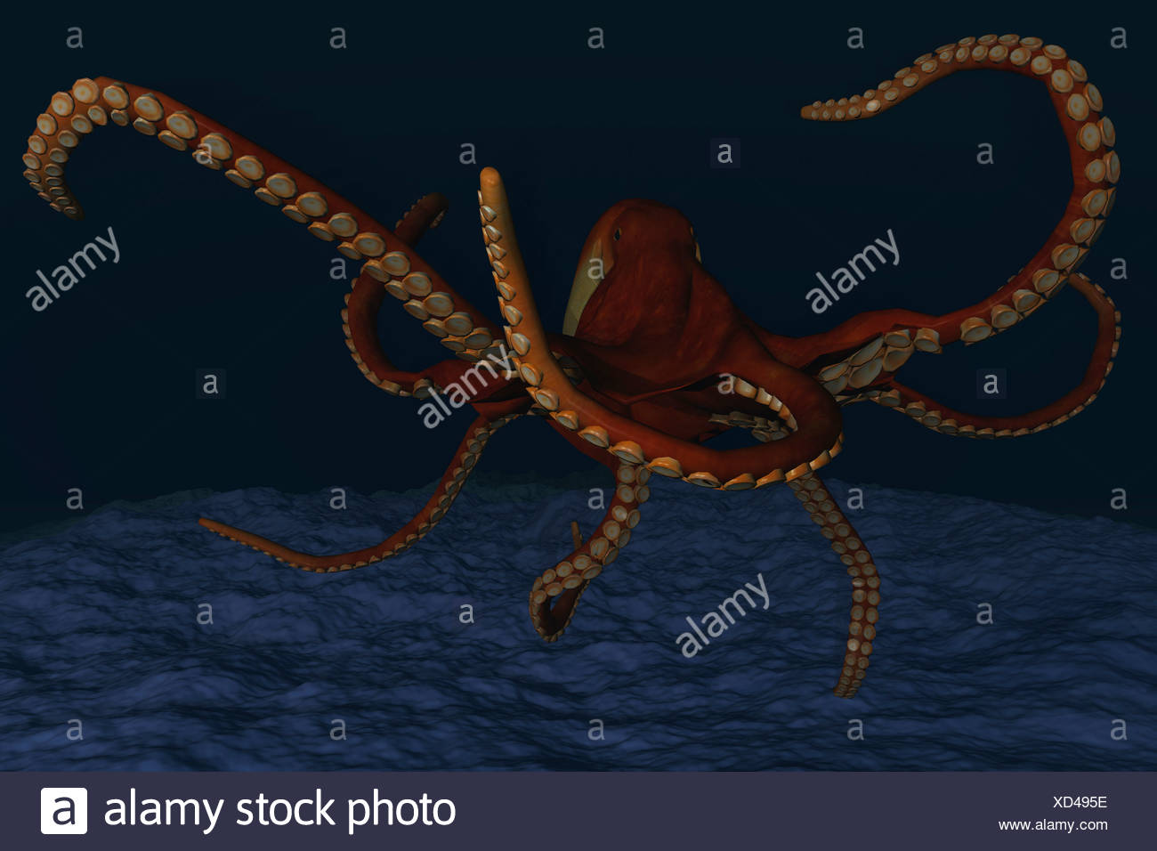 Octopus Computer High Resolution Stock Photography and Images - Alamy
