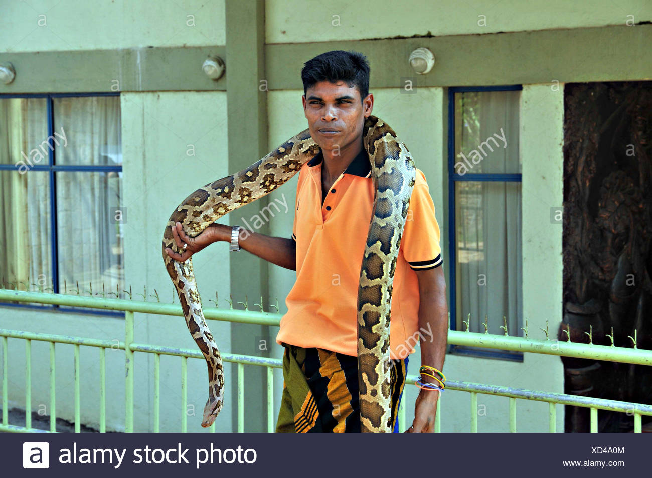 Asian Asians High Resolution Stock Photography and Images - Alamy