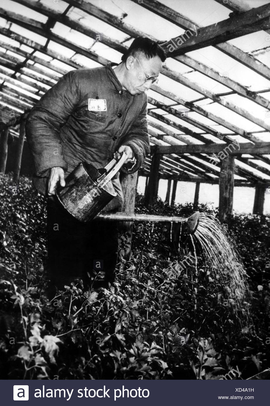 Emperor Puyi High Resolution Stock Photography and Images - Alamy