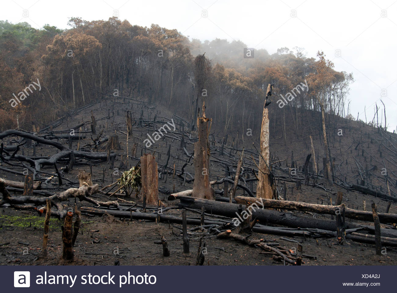 Scorched Landscape High Resolution Stock Photography and Images - Alamy
