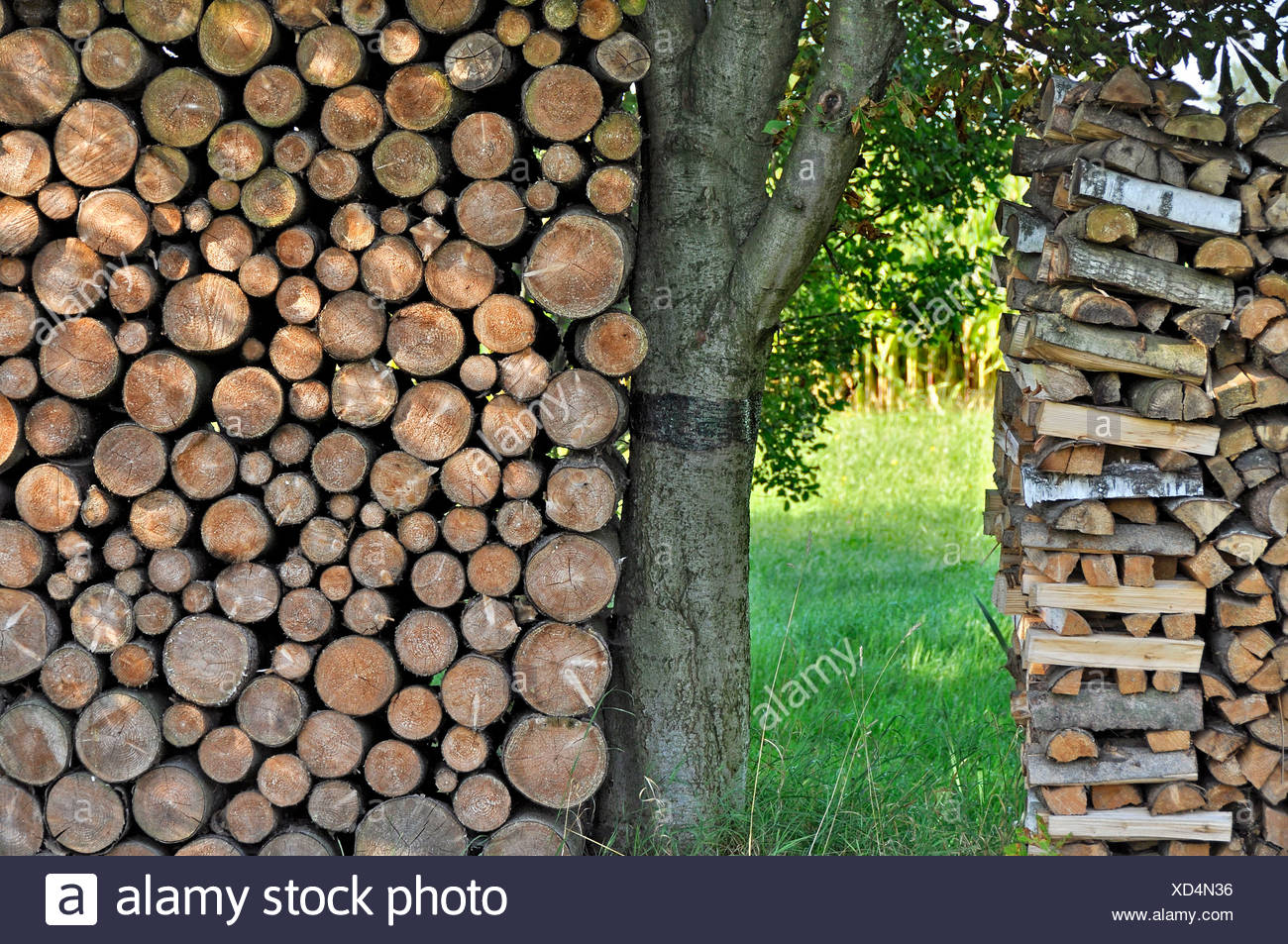 Wooden Logs Stock Photos & Wooden Logs Stock Images - Alamy