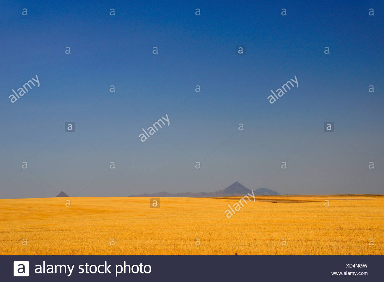 Sweetgrass Hills Montana High Resolution Stock Photography and Images ...