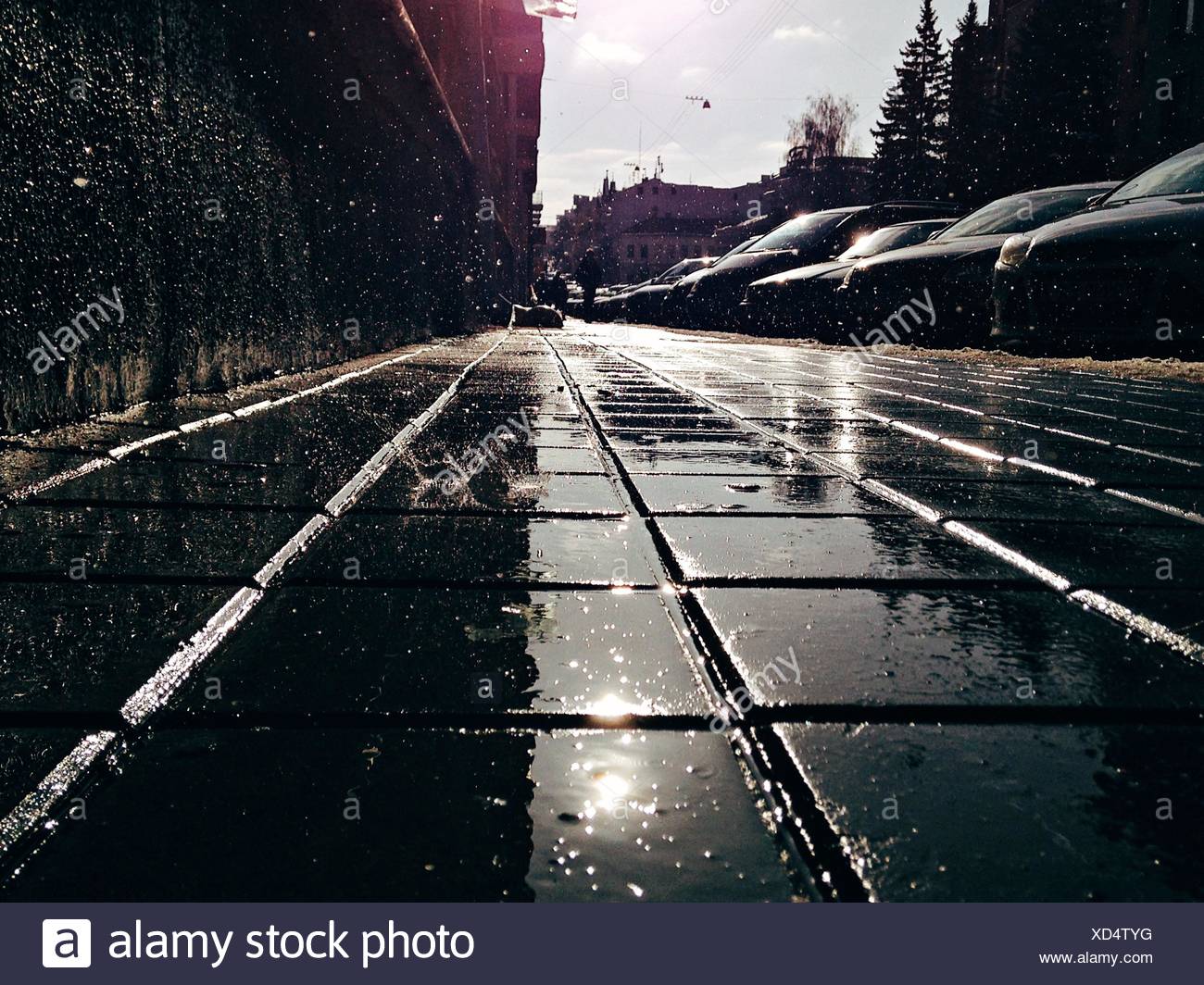 Reflection On Wet Pavement High Resolution Stock Photography and Images ...