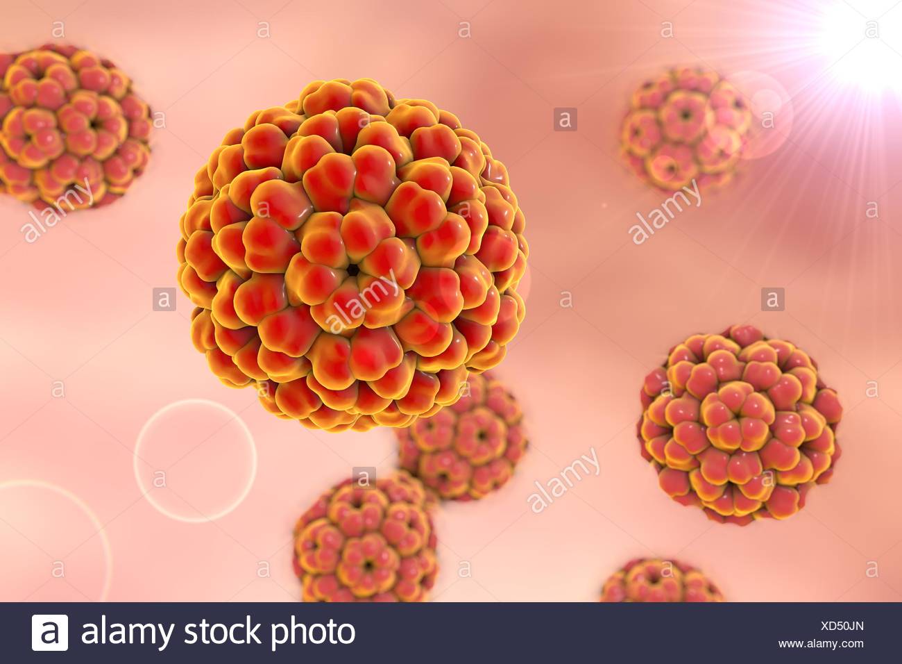Mosaic Virus High Resolution Stock Photography and Images - Alamy