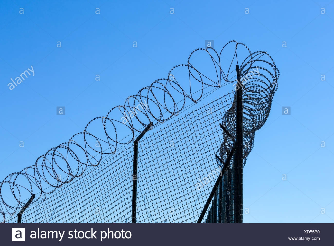 Barbwire Fence Stock Photos & Barbwire Fence Stock Images - Alamy