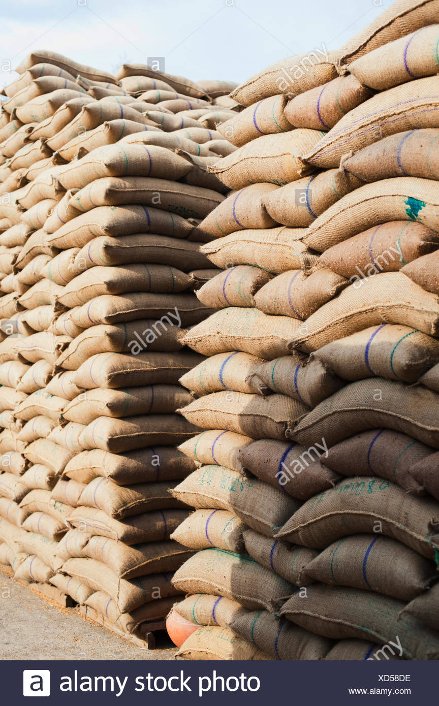 Anaj Mandi Stock Photos & Anaj Mandi Stock Images - Alamy