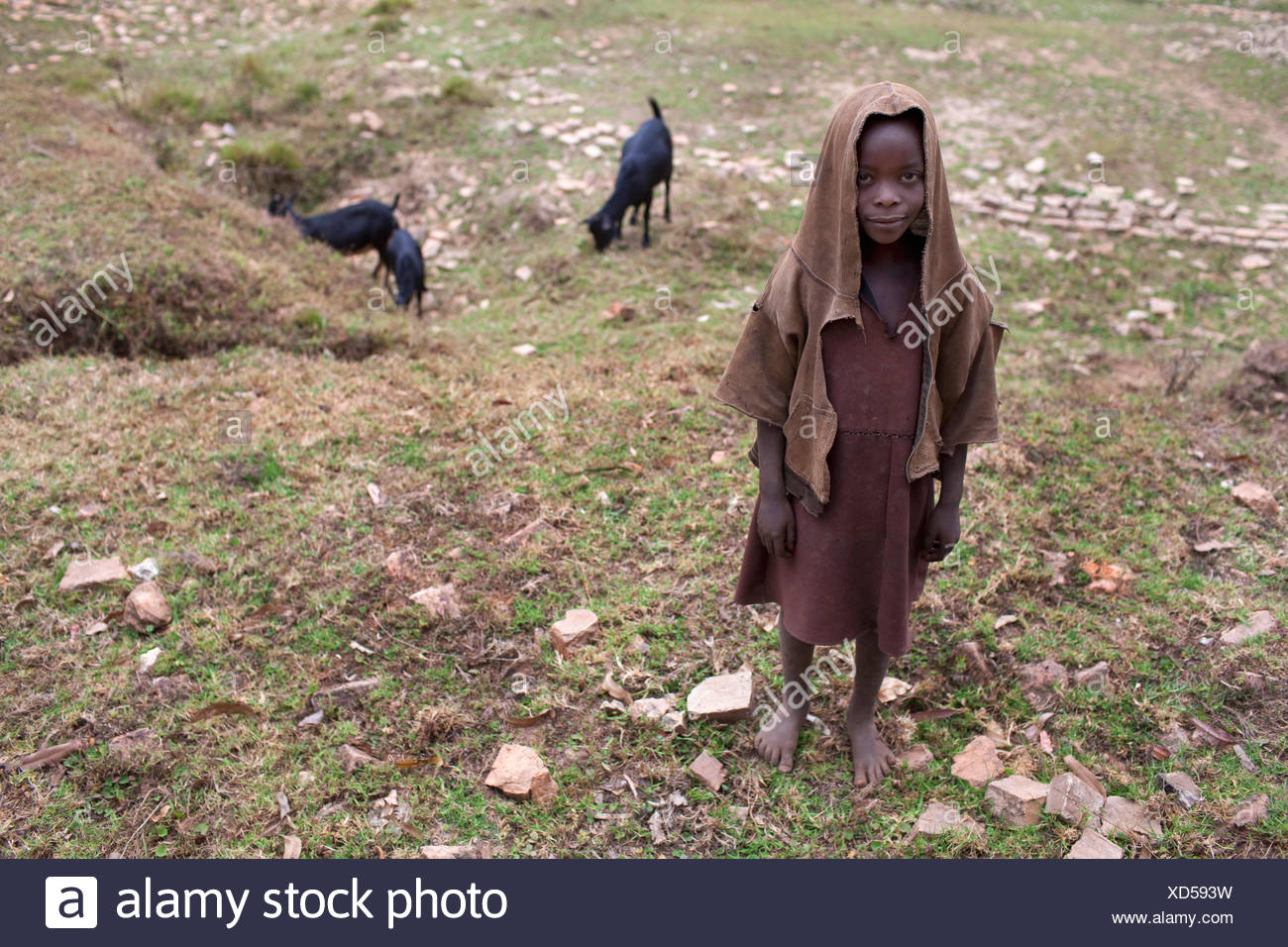 African Shepherds People High Resolution Stock Photography and Images ...