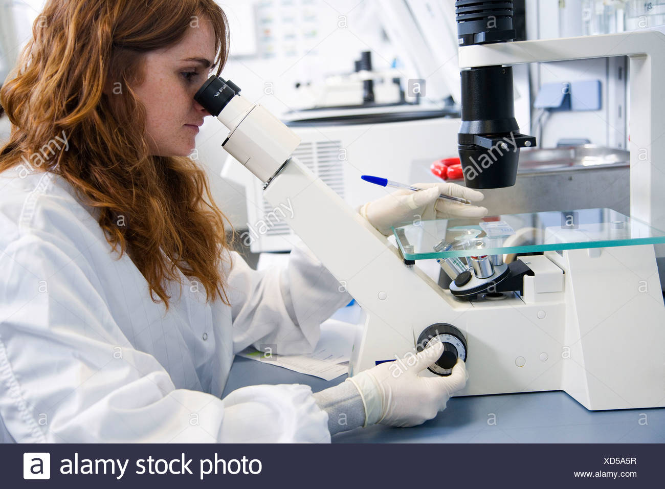 Cell Counting High Resolution Stock Photography and Images - Alamy