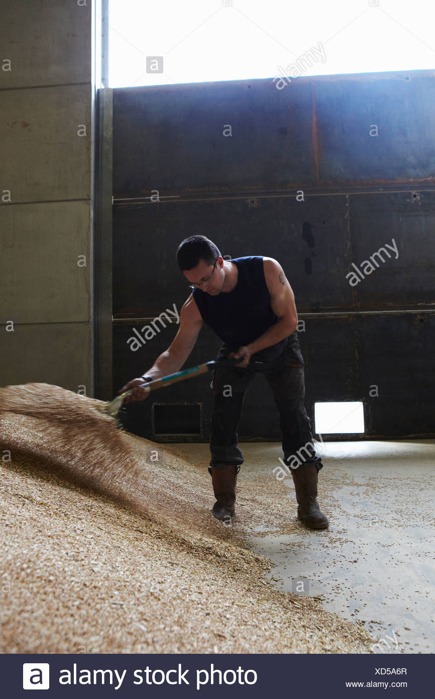 Grain Pile High Resolution Stock Photography and Images - Alamy