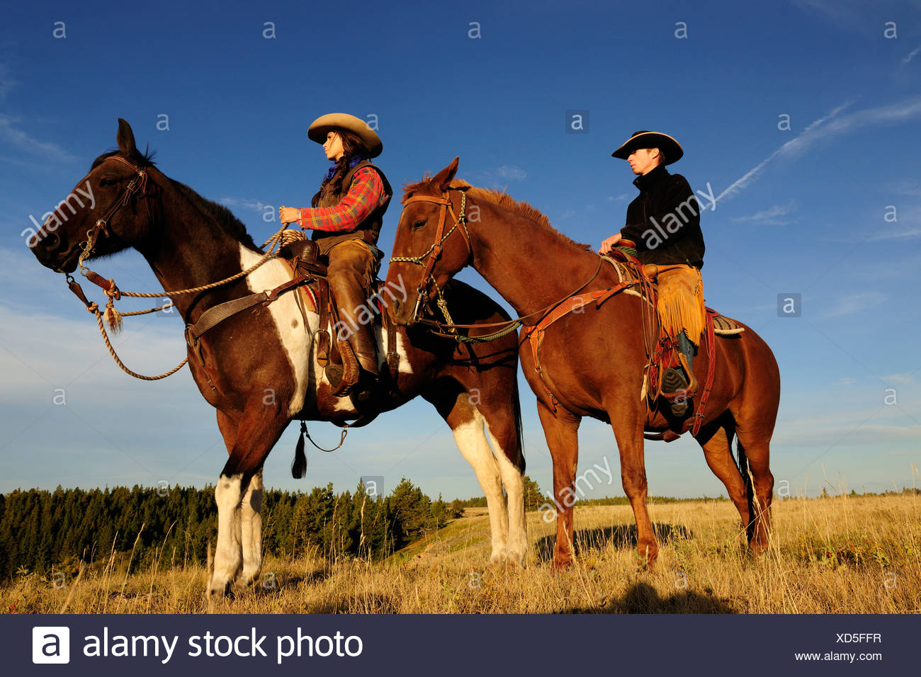 Two Cowboys Riding Horses High Resolution Stock Photography and Images ...