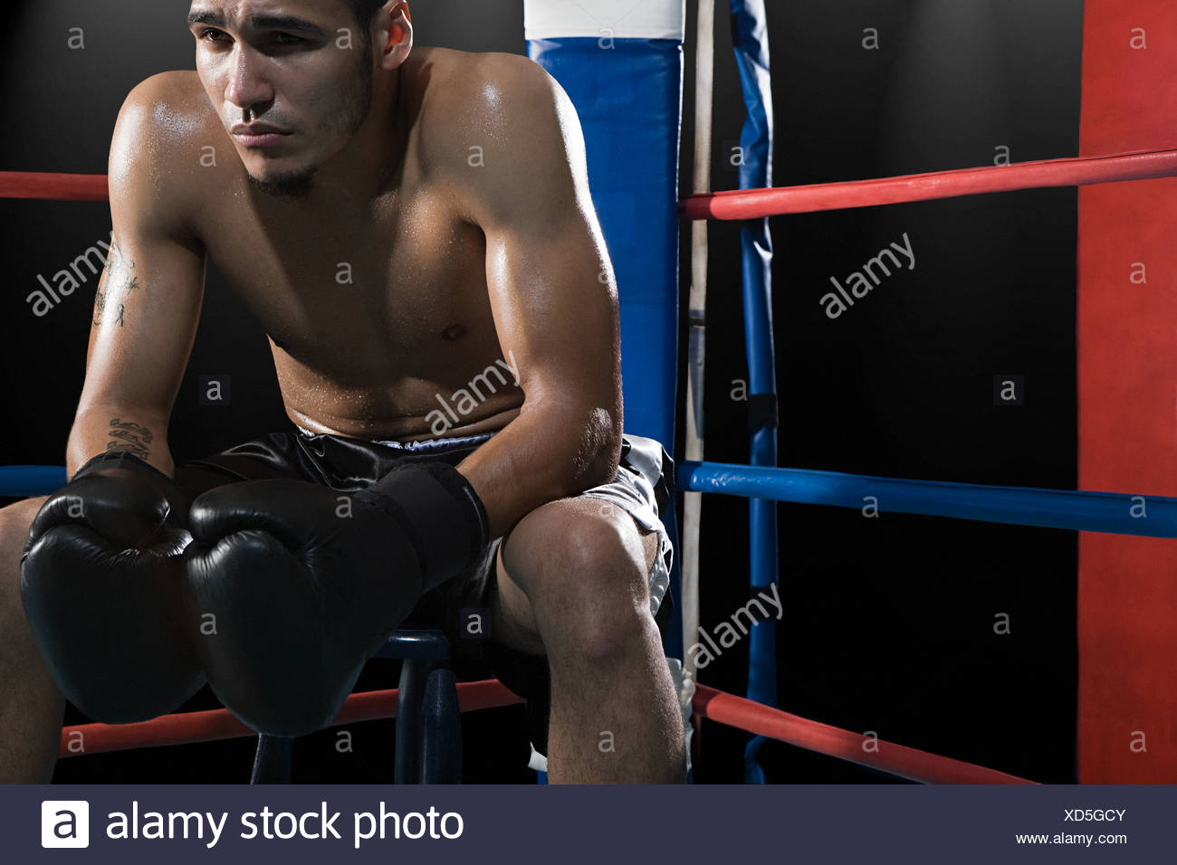 Boxing Corner Man Stock Photos & Boxing Corner Man Stock Images - Alamy