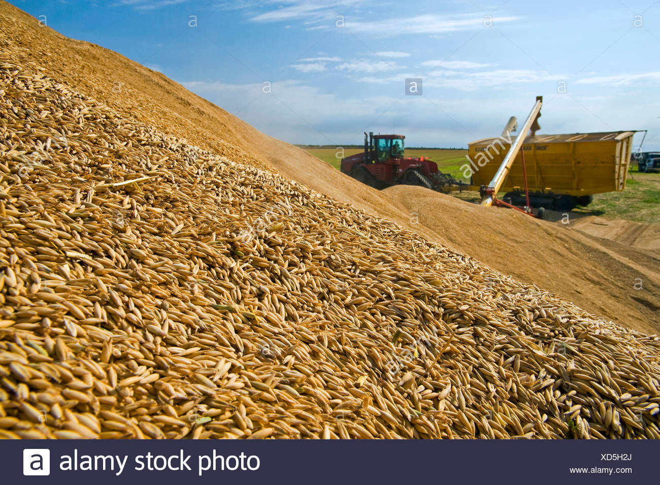 Stockpile Stock Photos & Stockpile Stock Images - Alamy
