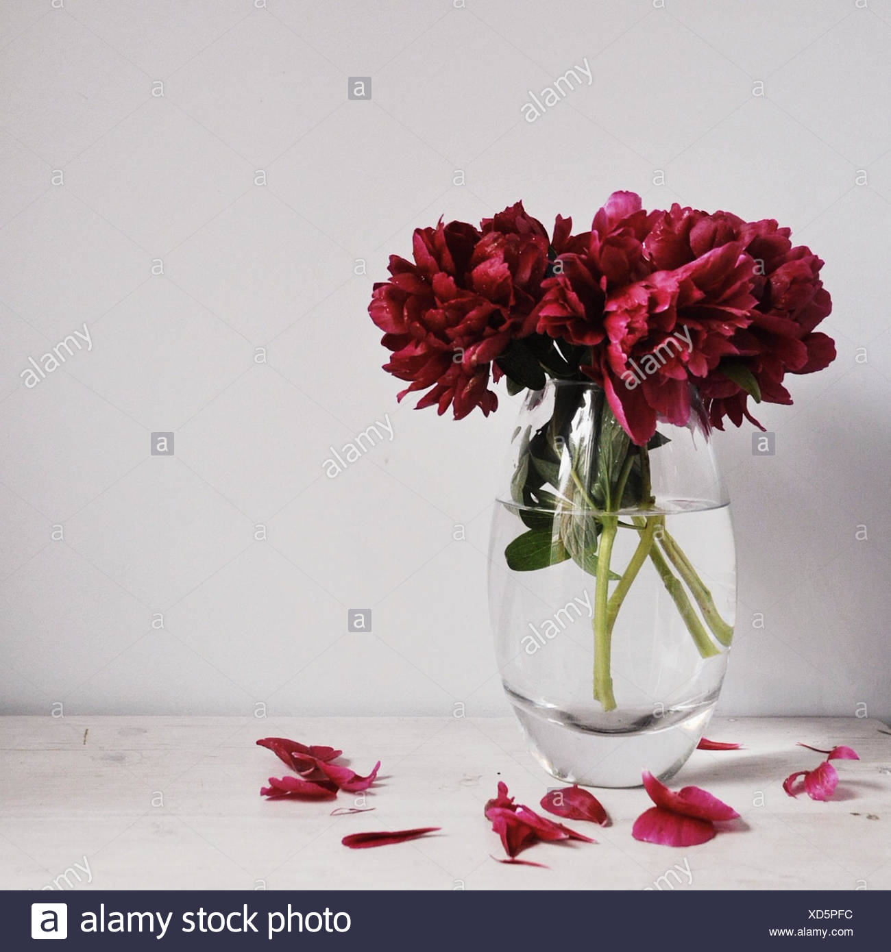 Shot Off High Resolution Stock Photography and Images - Alamy