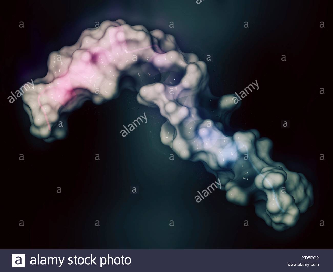 Beta Amyloid Plaque High Resolution Stock Photography and Images - Alamy