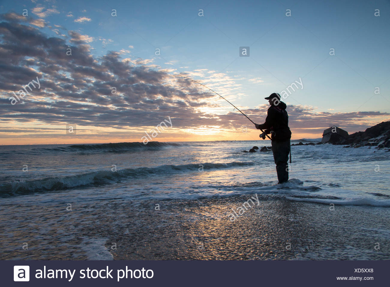 Nibble Stock Photos & Nibble Stock Images - Alamy