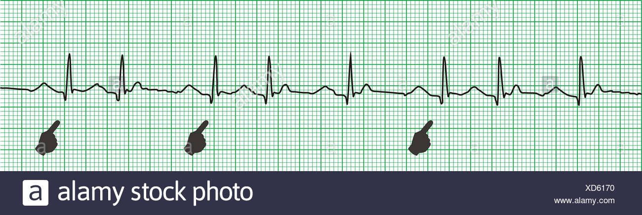 Sves High Resolution Stock Photography and Images - Alamy