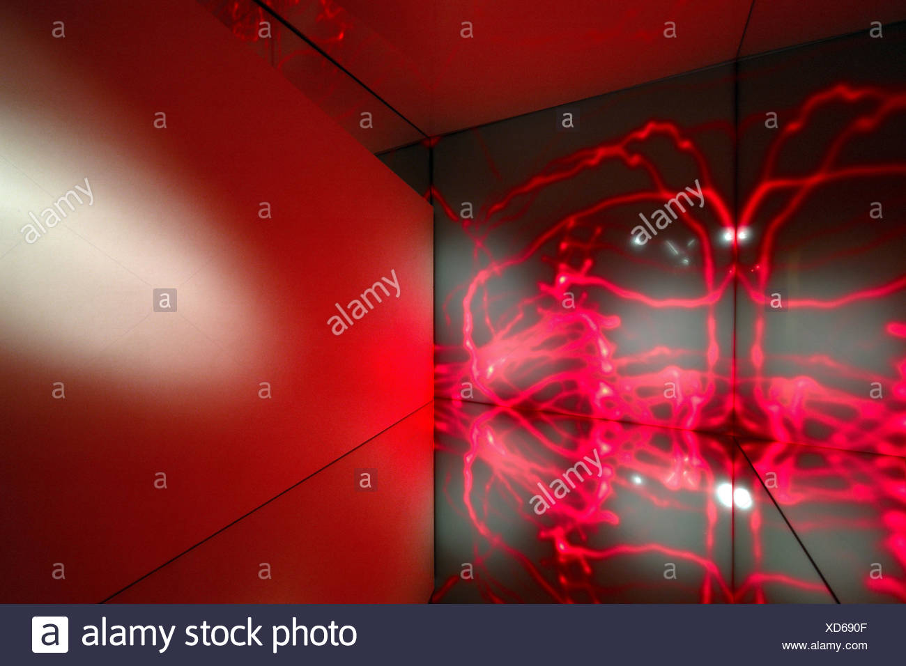 Luminous Colours High Resolution Stock Photography and Images - Alamy