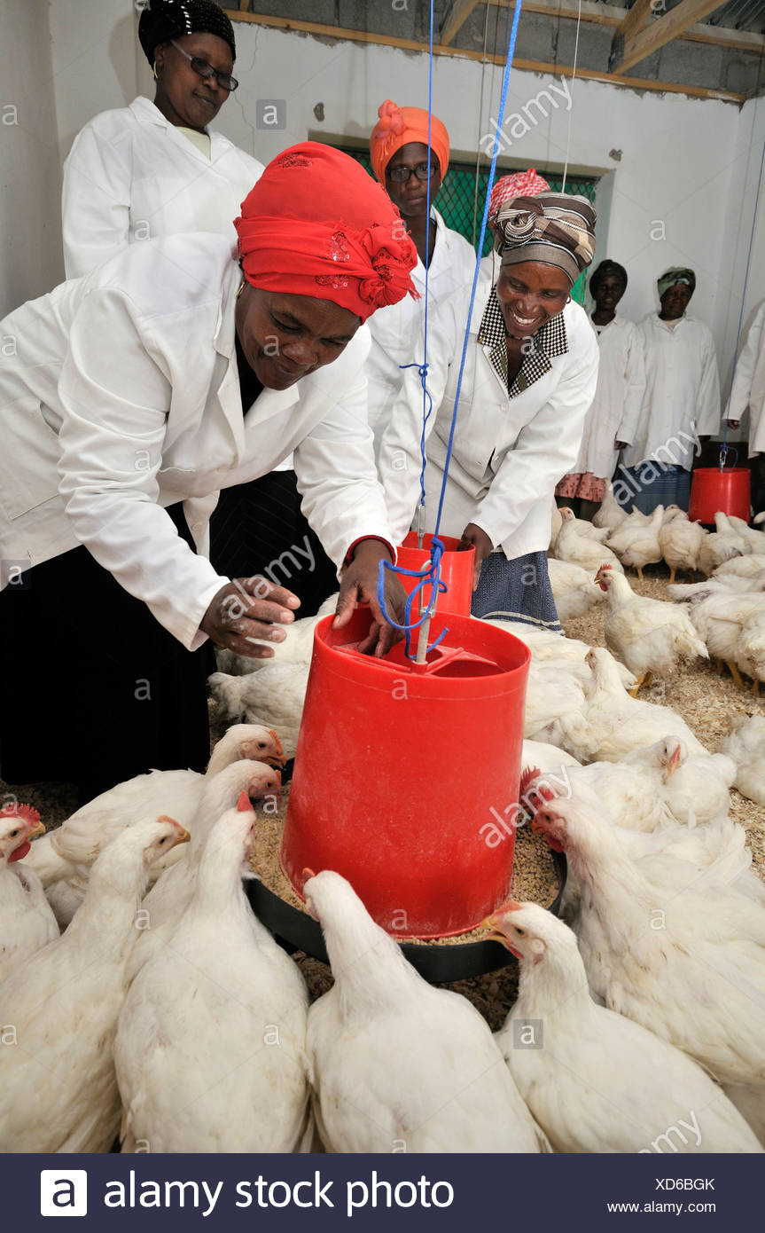 Women's Group Farming Stock Photos & Women's Group Farming Stock Images ...