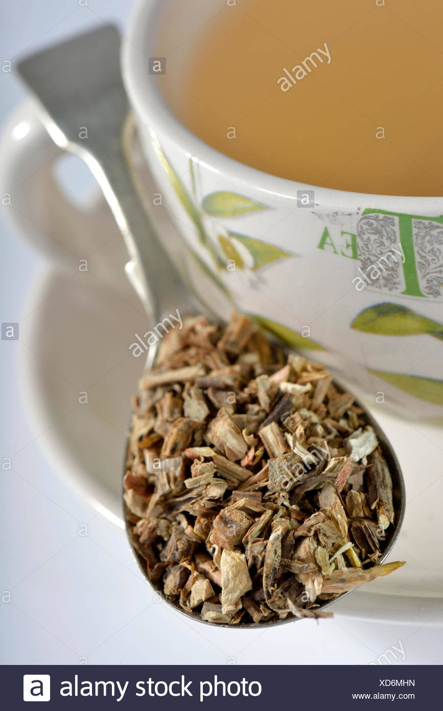 Sarsaparilla Roots High Resolution Stock Photography and Images - Alamy