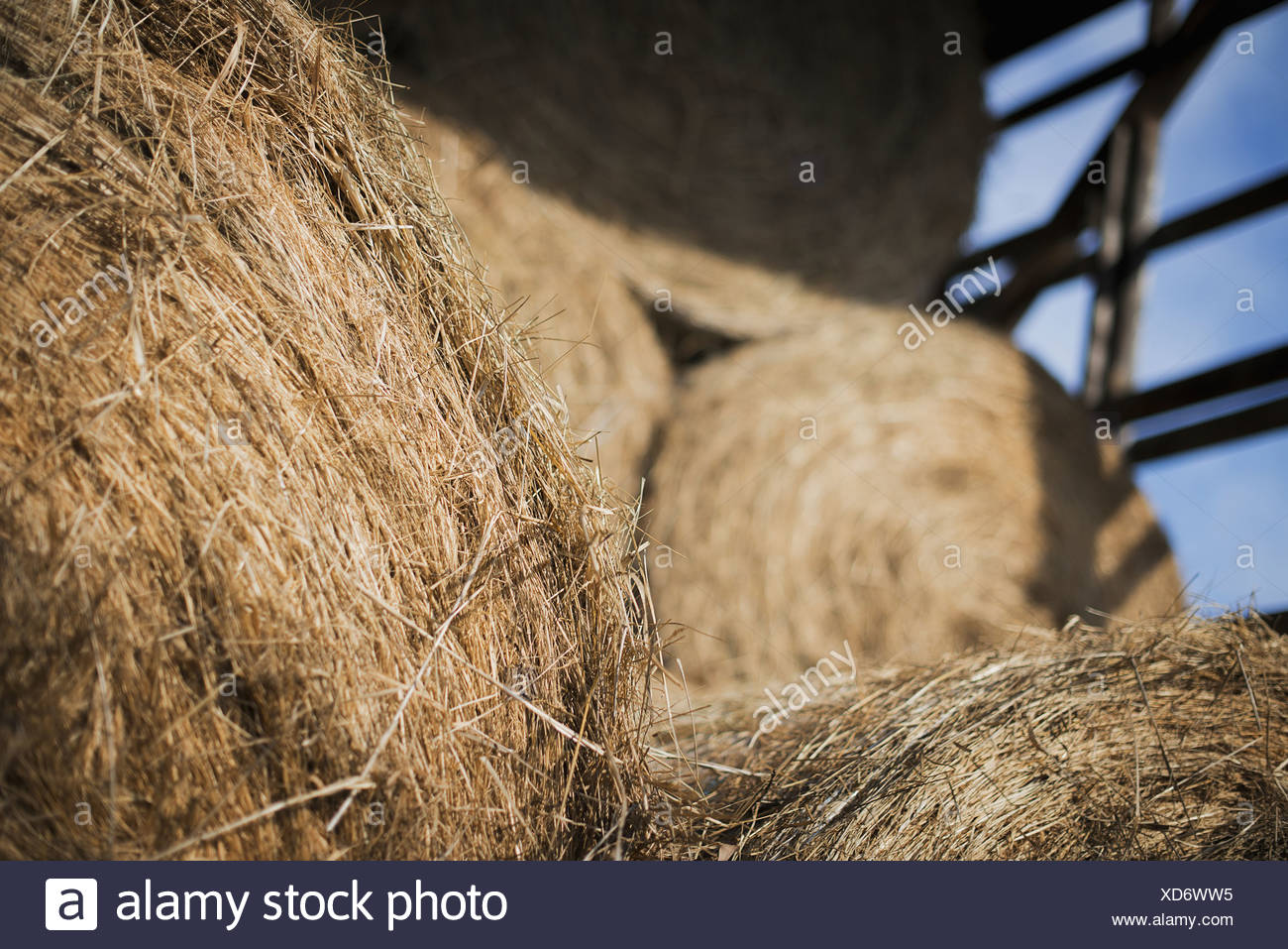 Dried Animal Fodder High Resolution Stock Photography and Images - Alamy