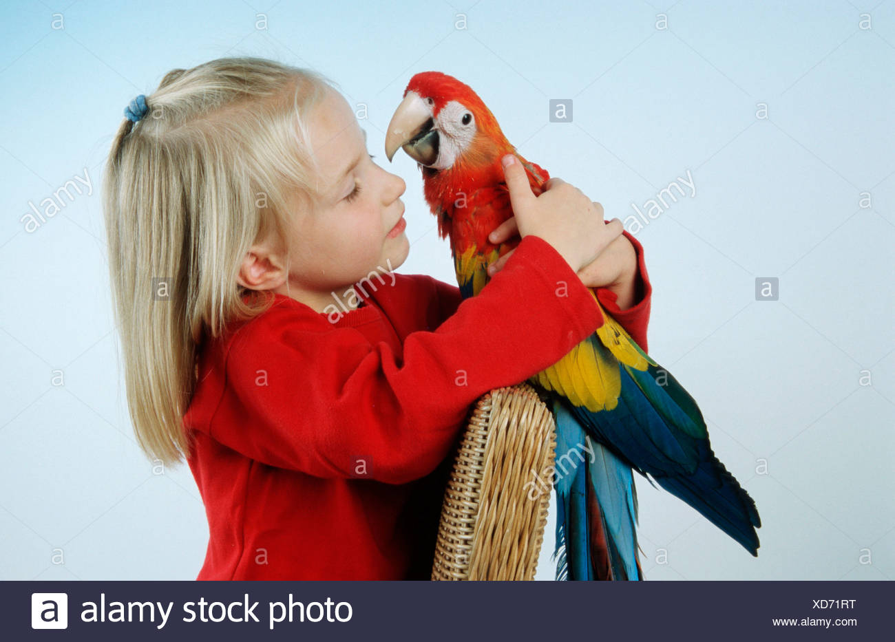 Parrot Macaw Children High Resolution Stock Photography and Images - Alamy