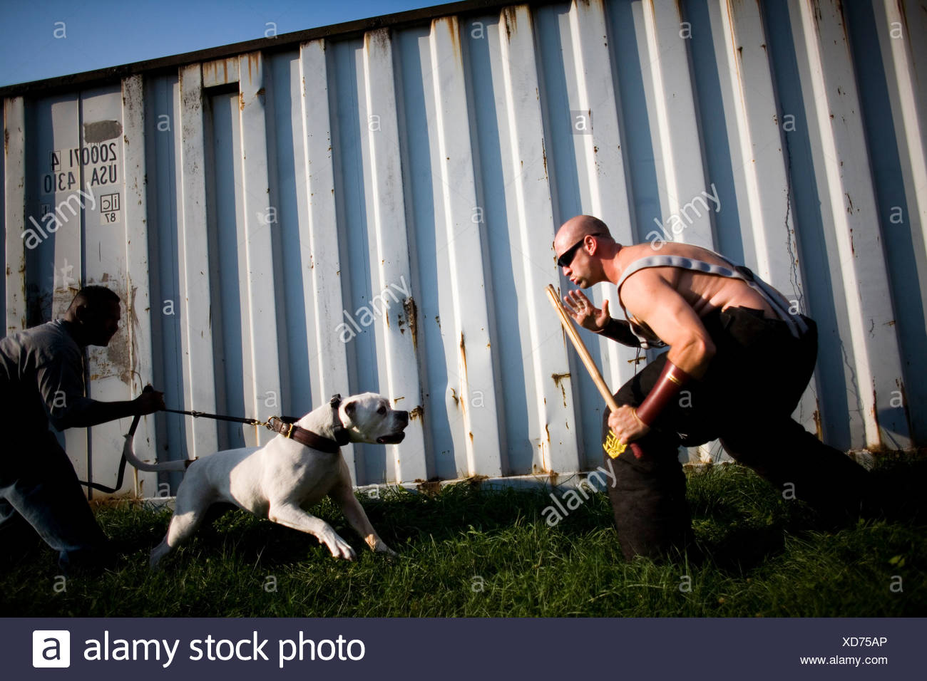 Man Trains Dog High Resolution Stock Photography and Images - Alamy