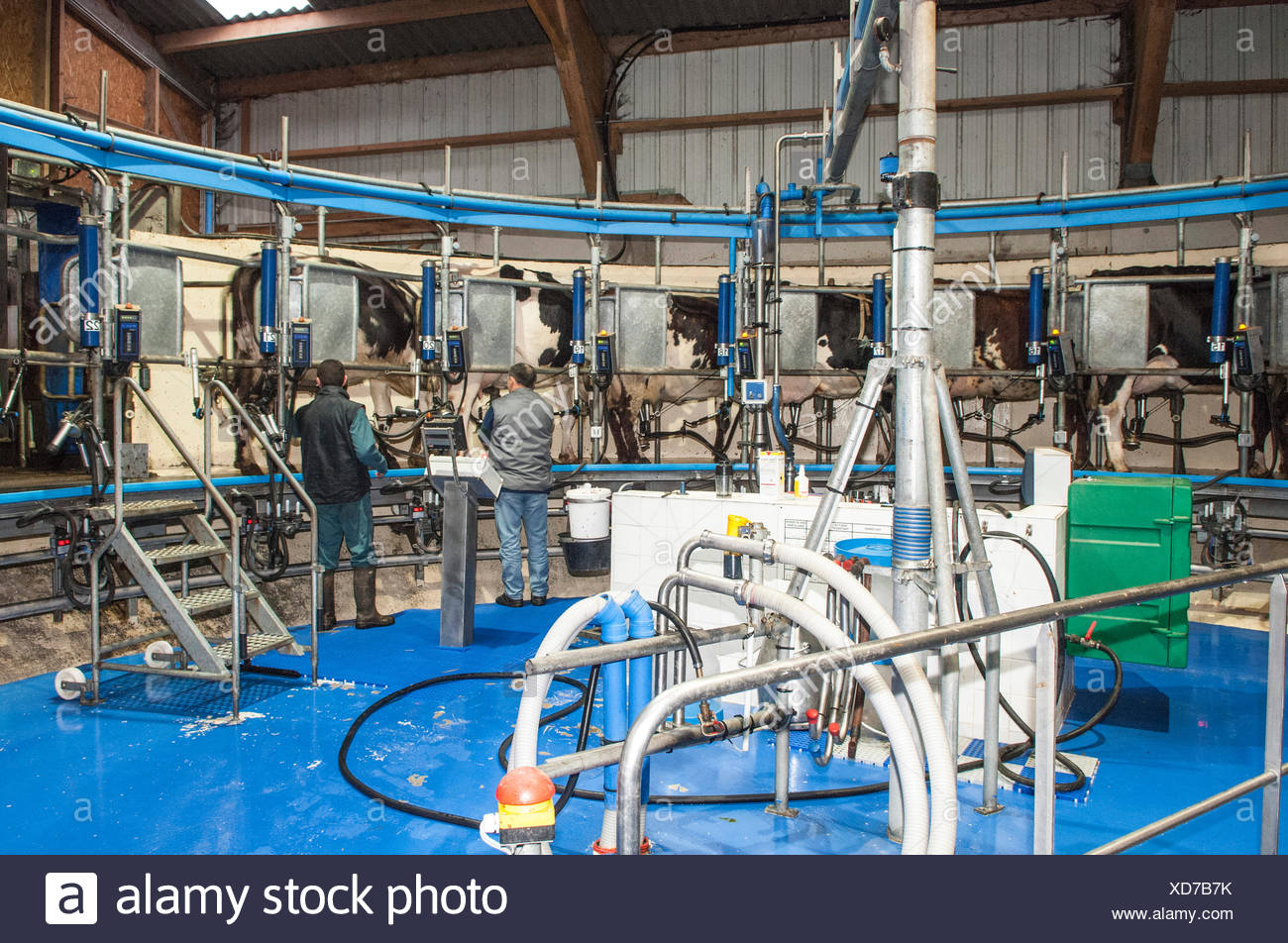 Milking Machine Human High Resolution Stock Photography and Images - Alamy