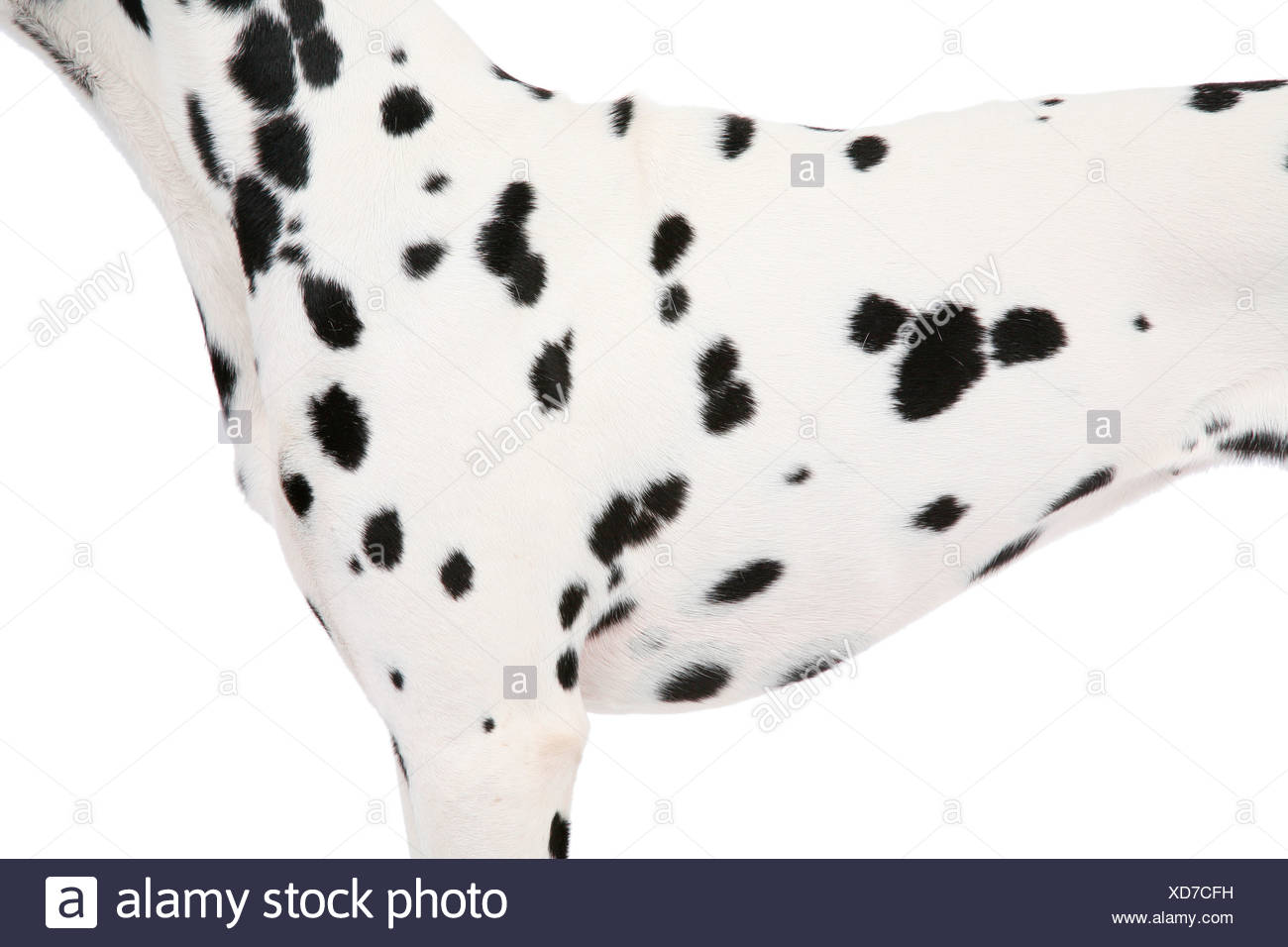 Short Section High Resolution Stock Photography and Images - Alamy