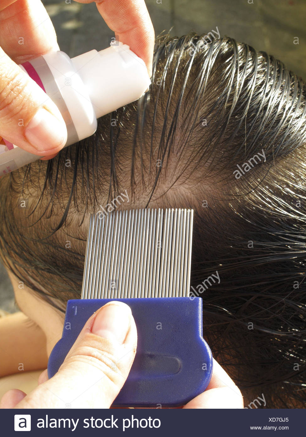 Mother Louse High Resolution Stock Photography and Images - Alamy