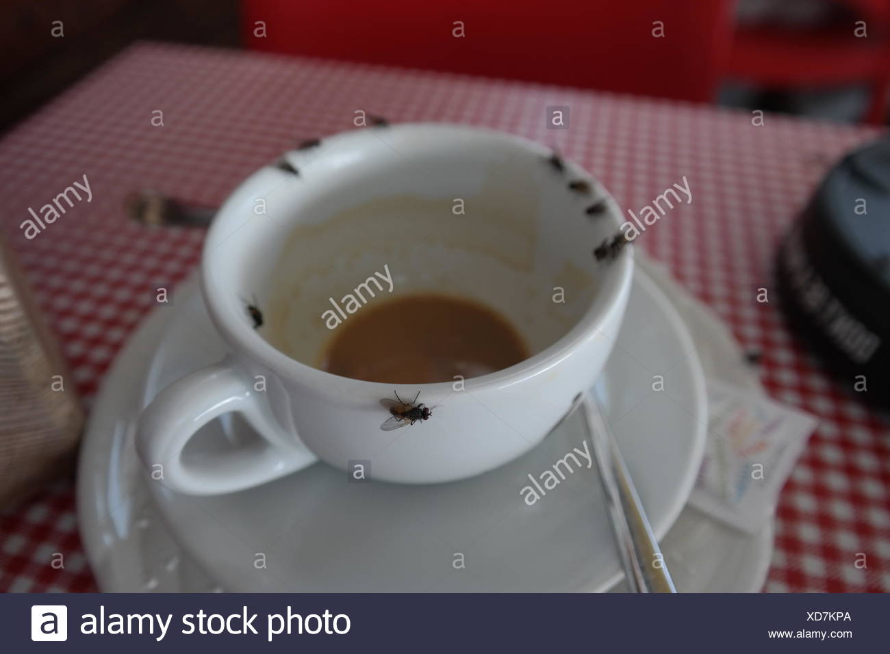 Flies On Food High Resolution Stock Photography and Images - Alamy