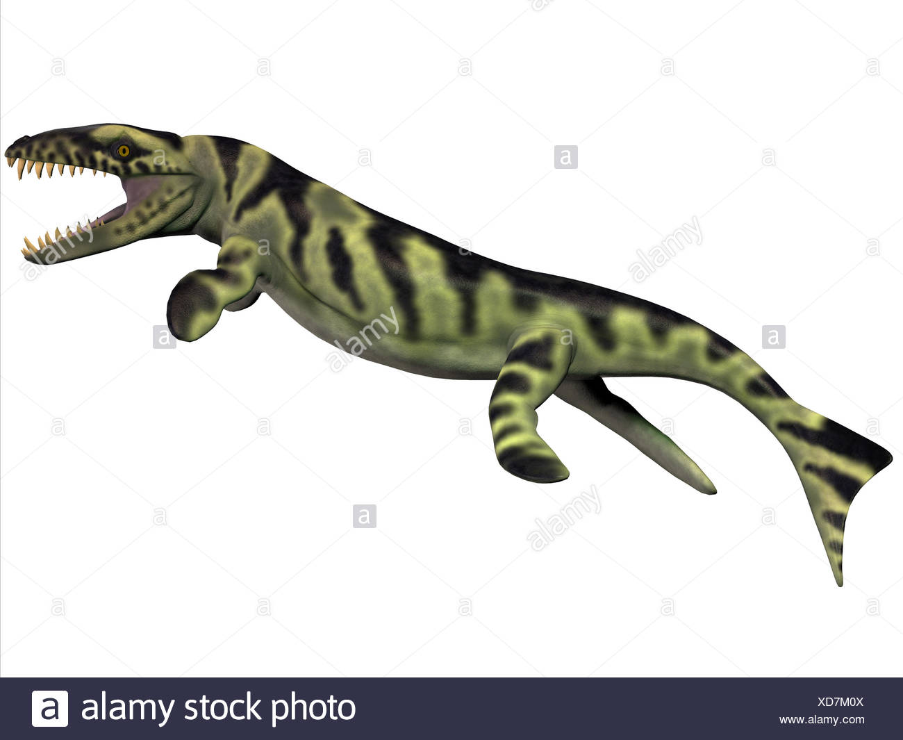 Jurassic Aquatic Stock Photos & Jurassic Aquatic Stock Images - Alamy