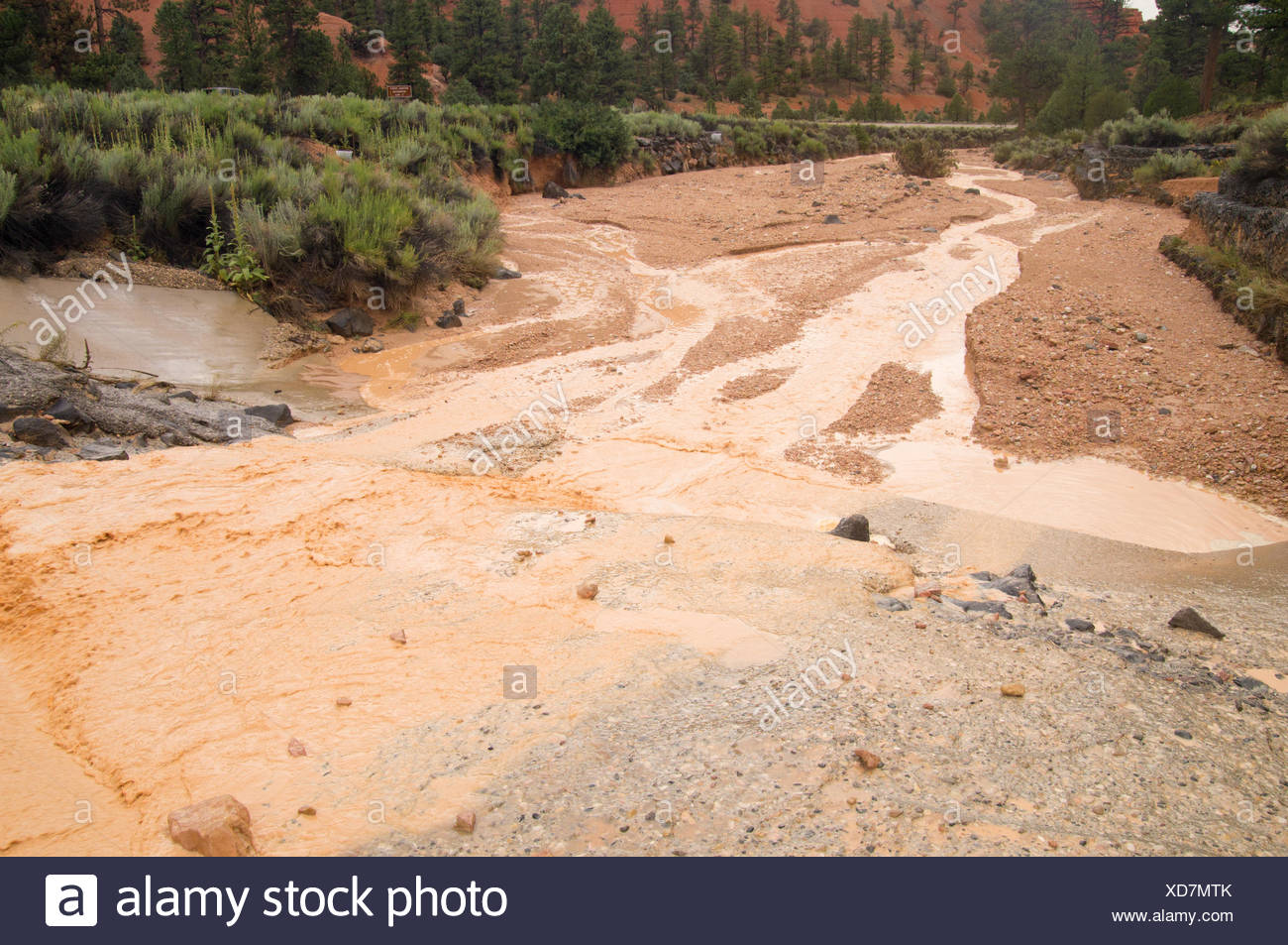 Flash Flood Desert High Resolution Stock Photography and Images - Alamy