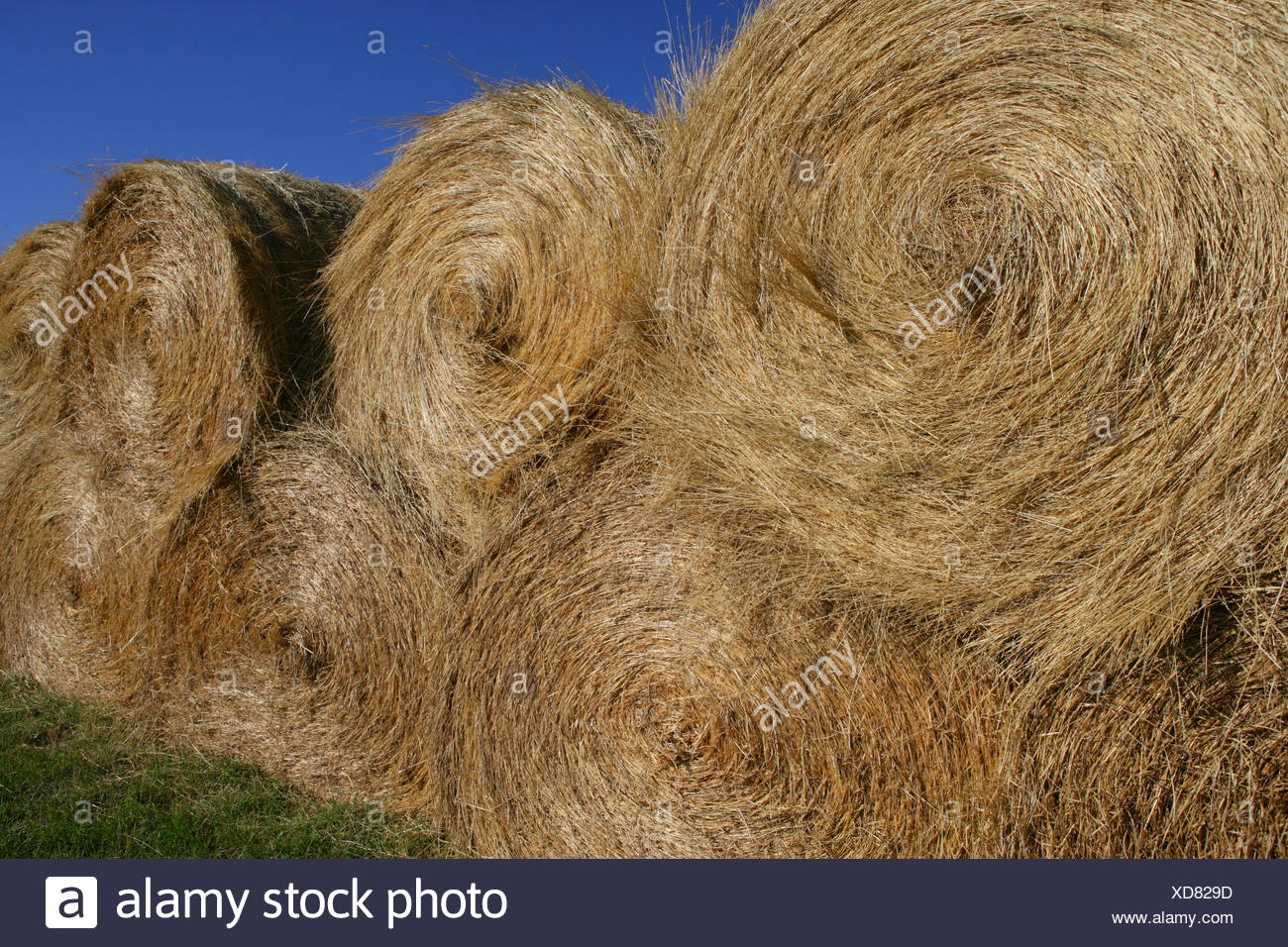 Round Bale Stock Photos & Round Bale Stock Images - Alamy