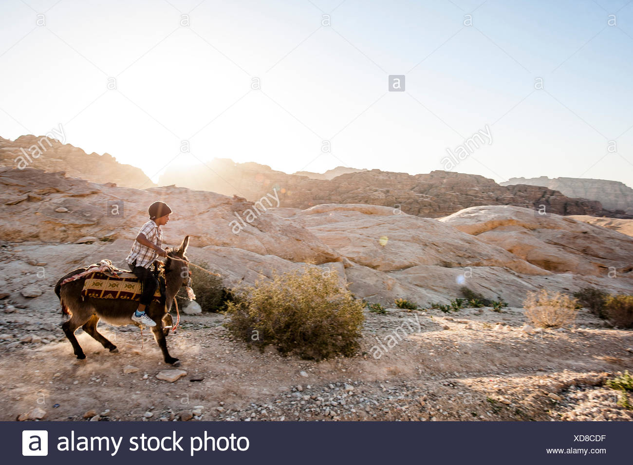 Boy Riding Donkey High Resolution Stock Photography and Images - Alamy