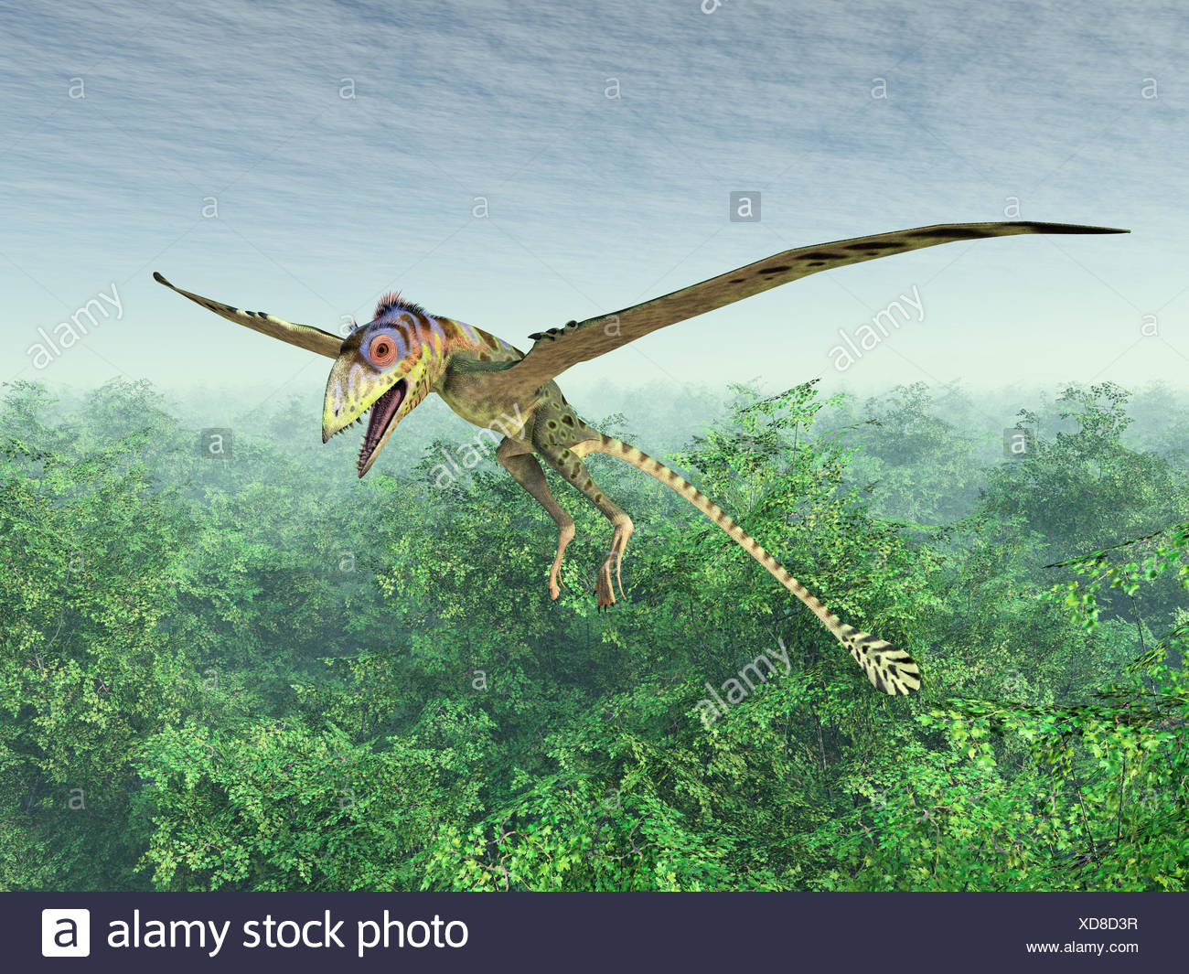Flying Reptiles High Resolution Stock Photography and Images - Alamy