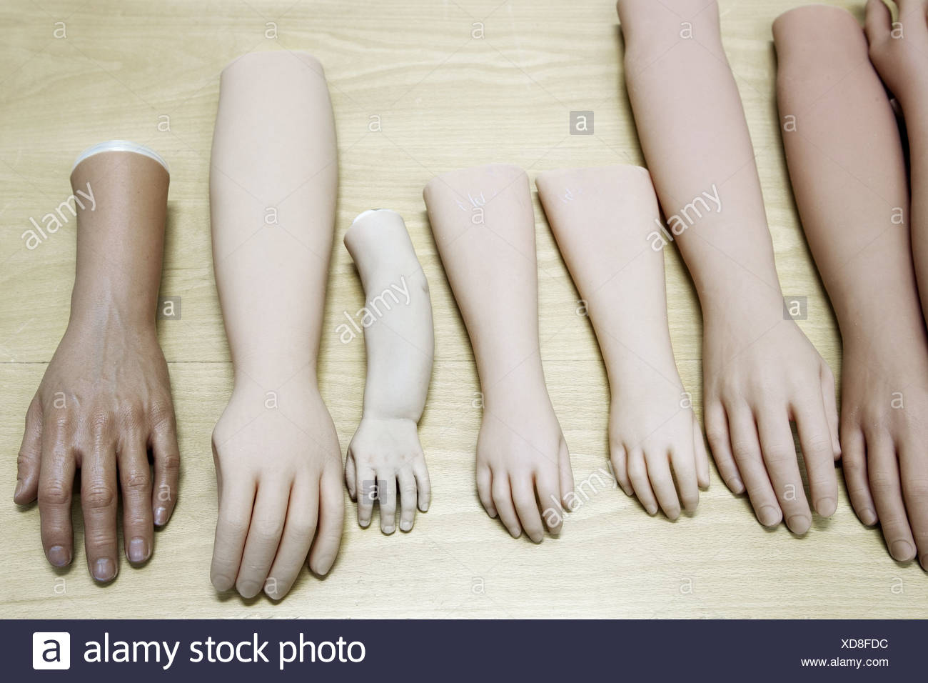 Artificial Limbs Stock Photos & Artificial Limbs Stock Images - Alamy