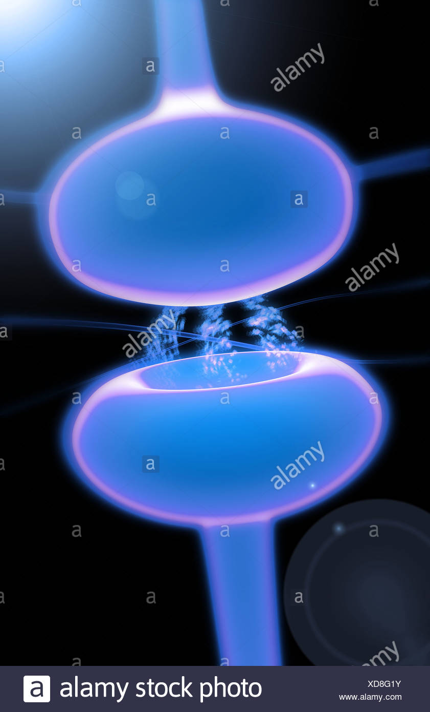 Synaptic Cleft High Resolution Stock Photography and Images - Alamy