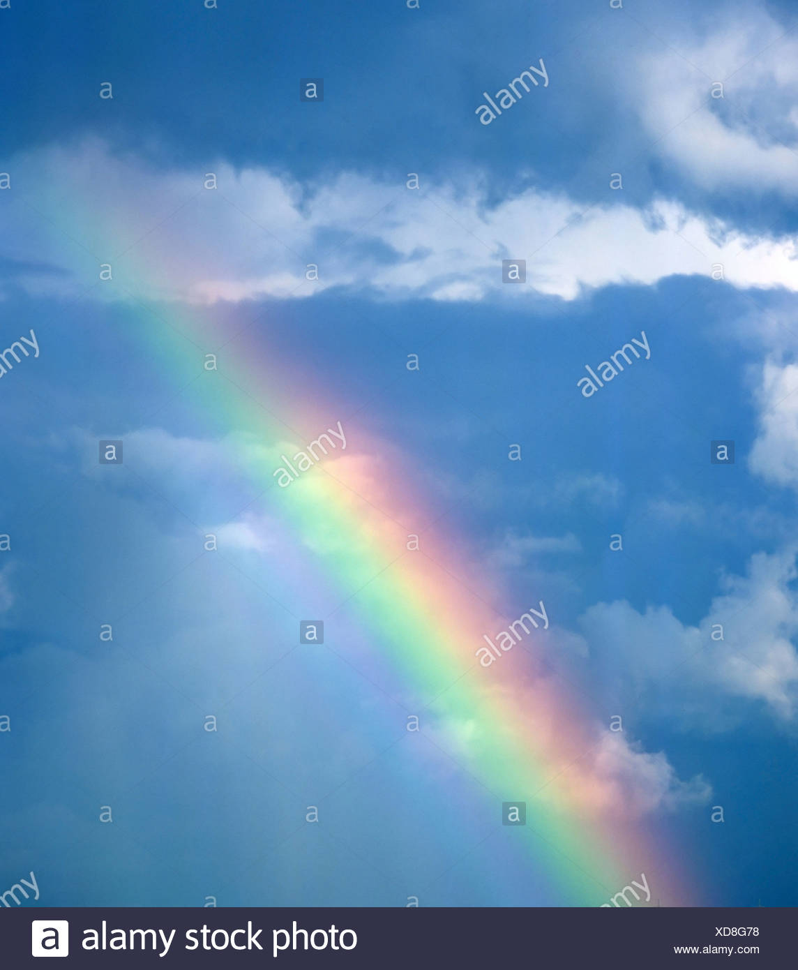 Vector Spectrum High Resolution Stock Photography and Images - Alamy