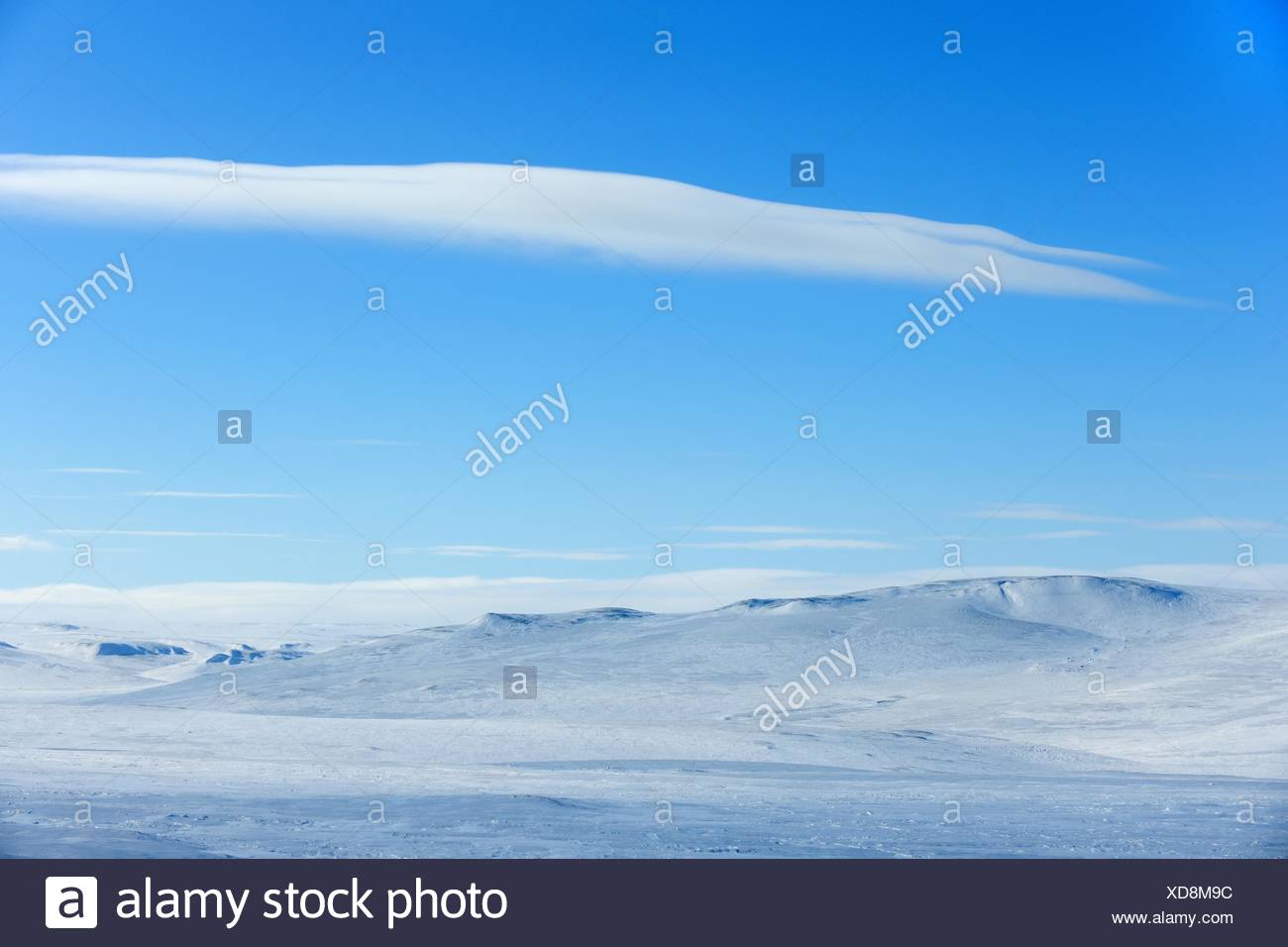 Banks Island Canada Stock Photos & Banks Island Canada Stock Images - Alamy