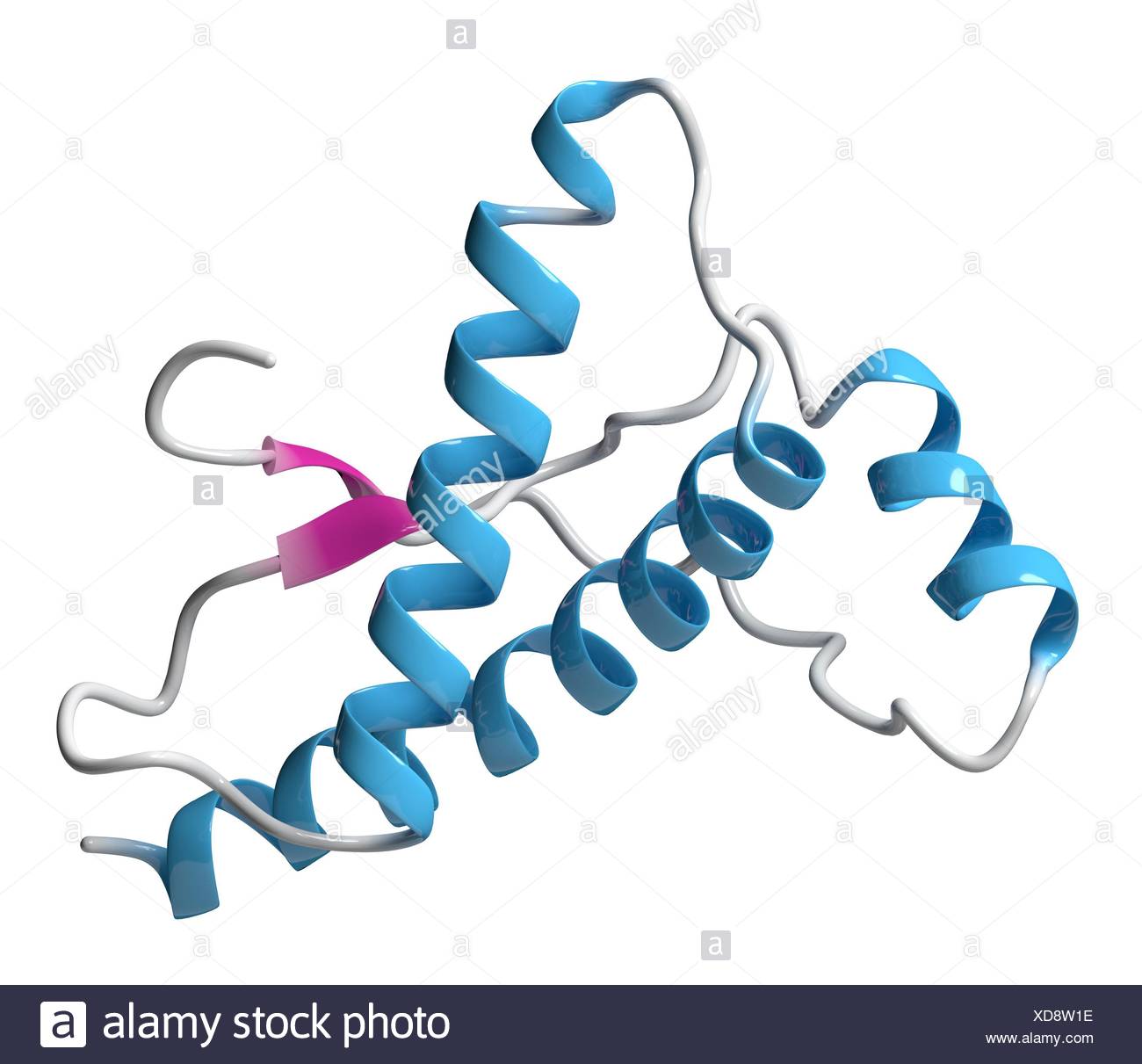 Prion Protein High Resolution Stock Photography and Images - Alamy