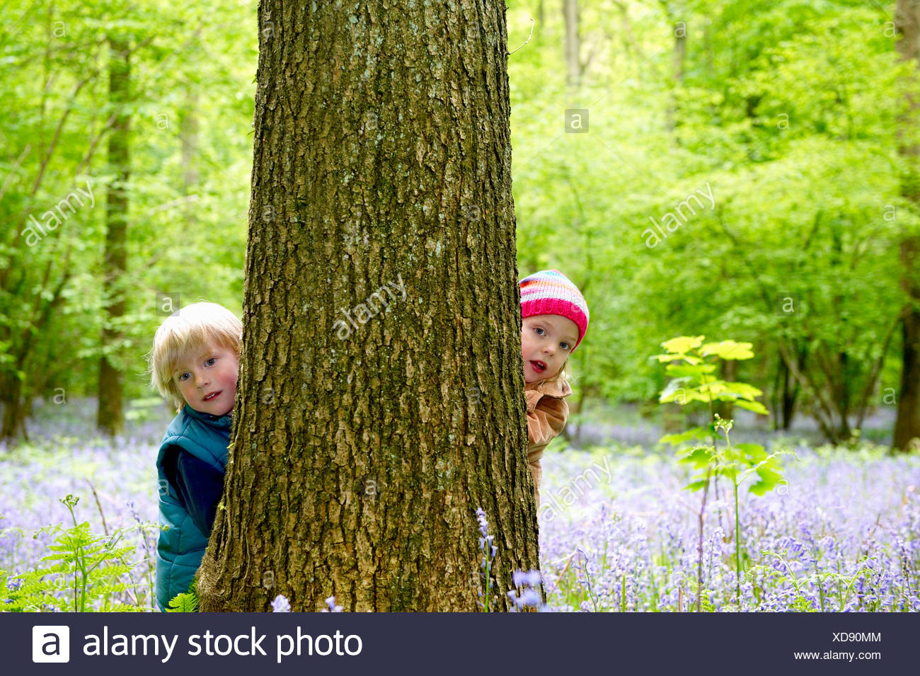 Hiding Behind A Tree High Resolution Stock Photography and Images - Alamy