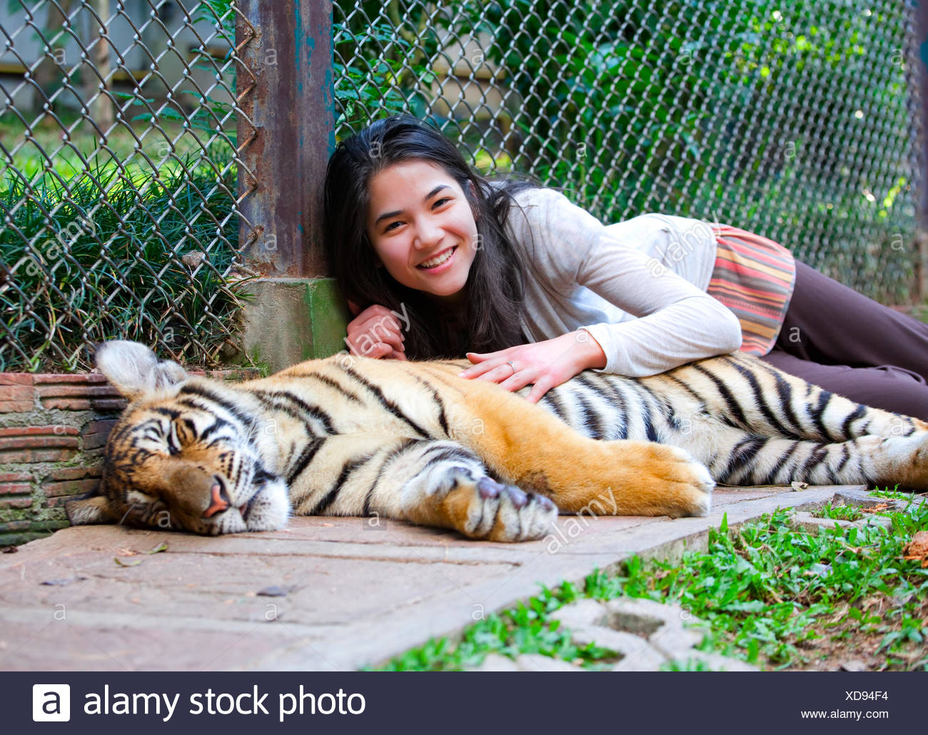 Asian Girl Cat High Resolution Stock Photography and Images - Alamy