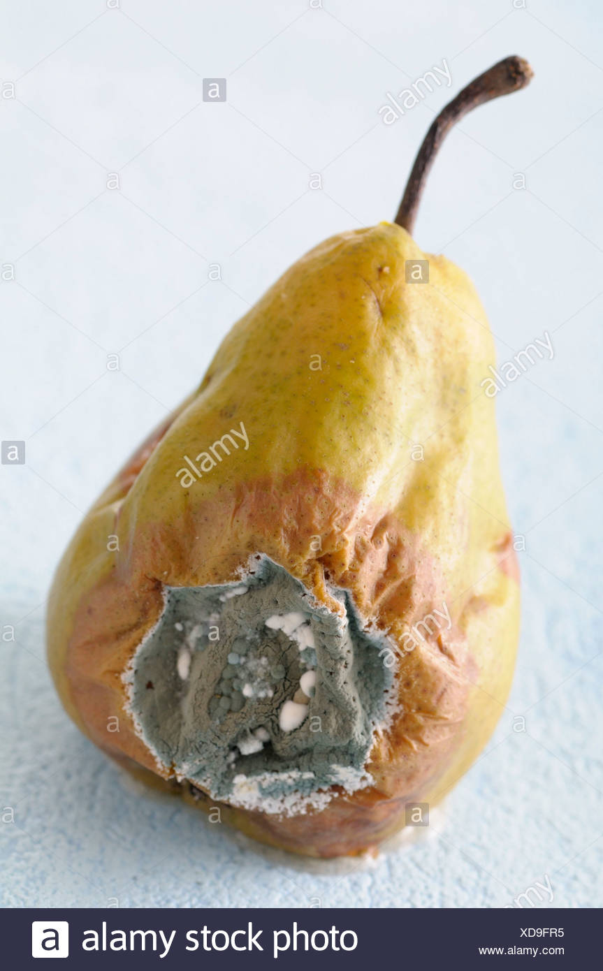 Rotten Pear High Resolution Stock Photography and Images - Alamy