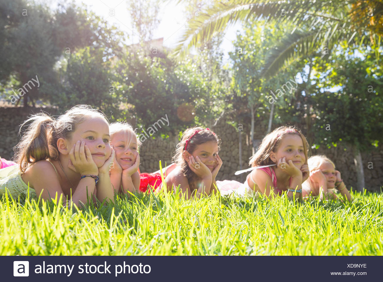 Five Hands High Resolution Stock Photography and Images - Alamy