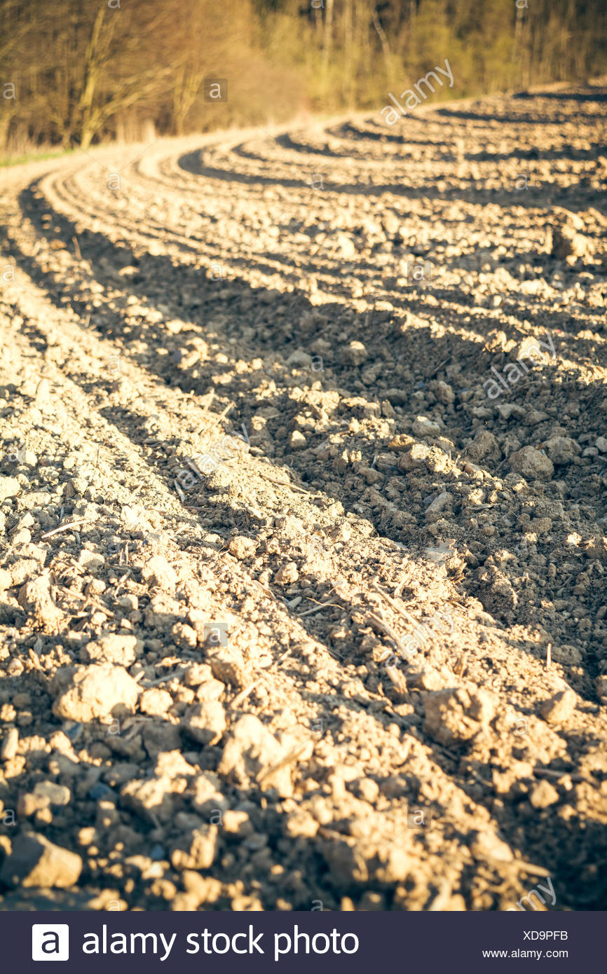 Field Grooves High Resolution Stock Photography and Images - Alamy
