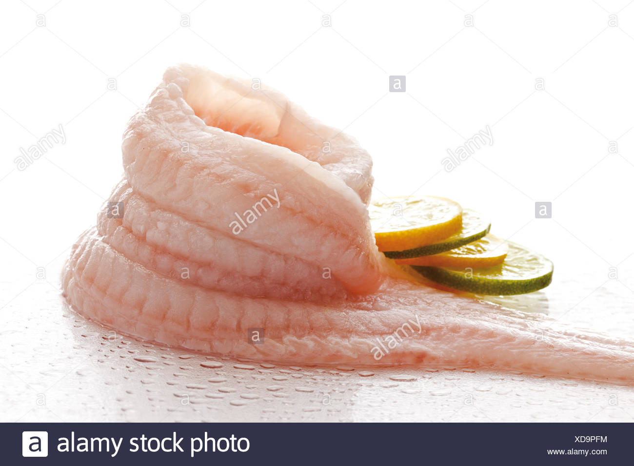 Loach Fish Stock Photos & Loach Fish Stock Images - Alamy