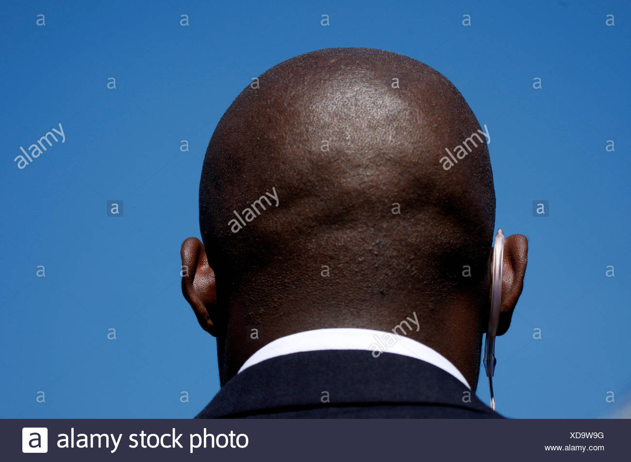 Bald Head High Resolution Stock Photography and Images - Alamy